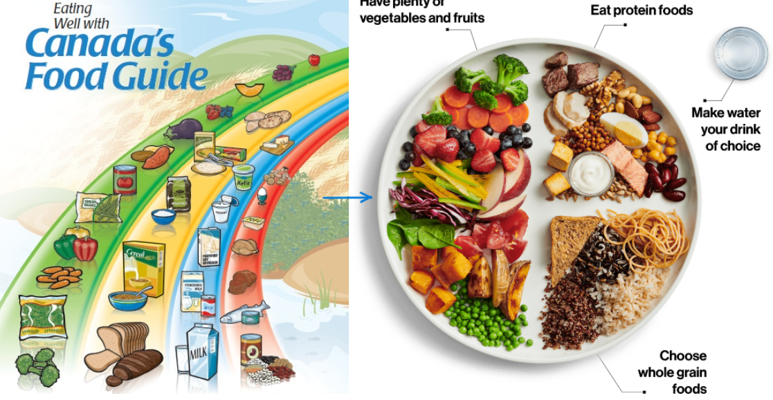 What changed in the new Canada’s Food Guide? [Blog #26] – Power Plants